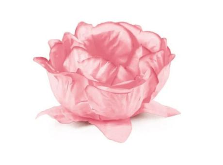 FORMITA DULCE FLORA ROSA PASTEL C30 - Sansei